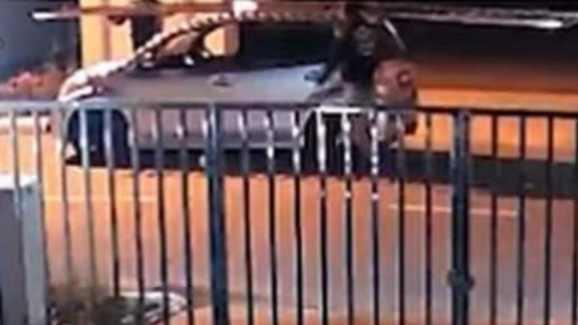 Polis buru 2 lelaki disyaki curi pagar rumah di Sarawak - Malaysia Bangkit Polis buru 2 lelaki disyaki curi pagar rumah di Sarawak - Malaysia Bangkit